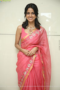 Actress Drishika Chander Stills in Traditional Saree, HD Gallery