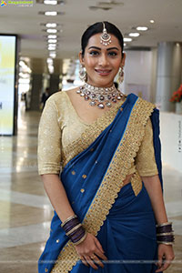Model Preethi Singh stills in Traditional Saree and Jewellery, HD Gallery